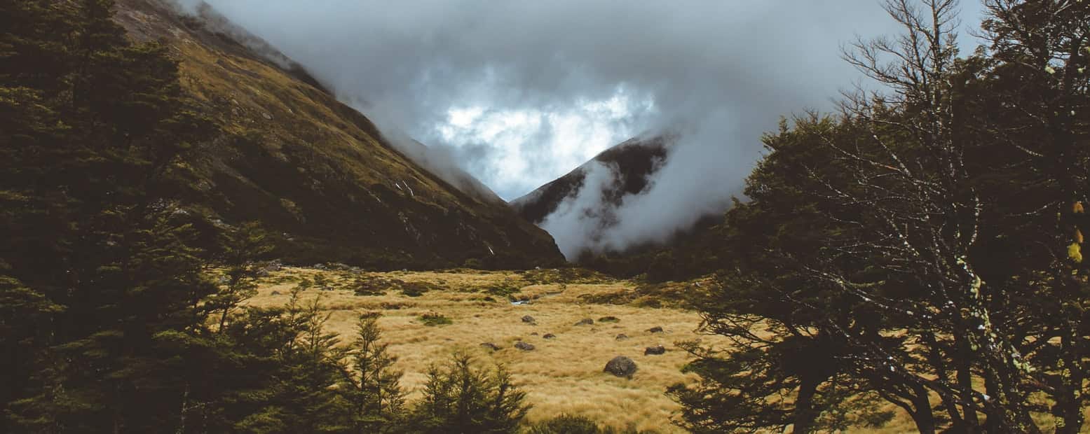 Oceania – Fenceless Travel