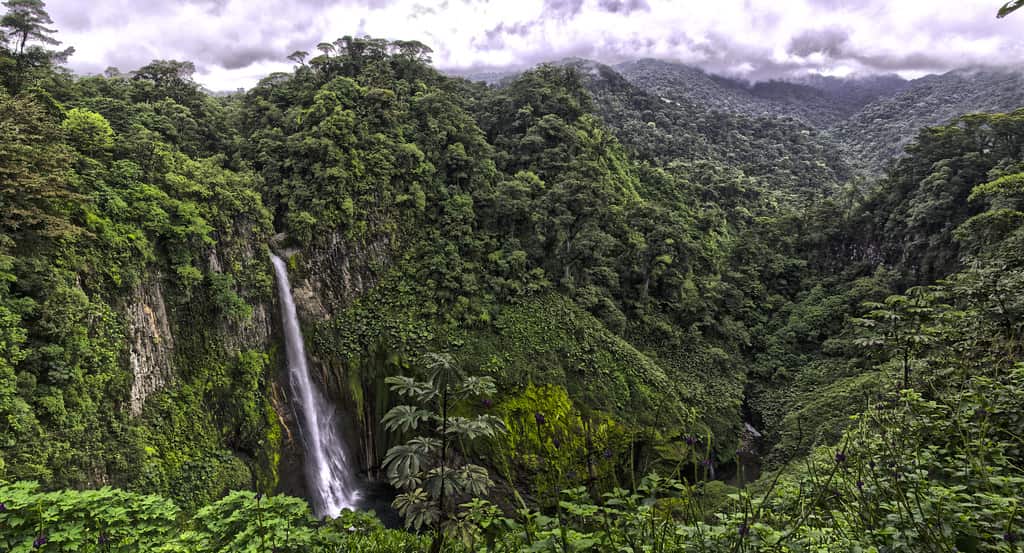 Del Toro Waterfalls | Fenceless Travel