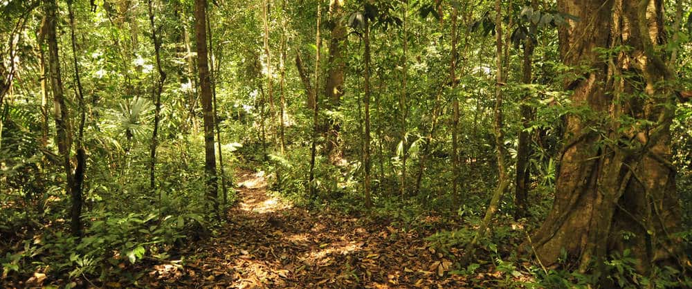 Darien National Park | Fenceless Travel