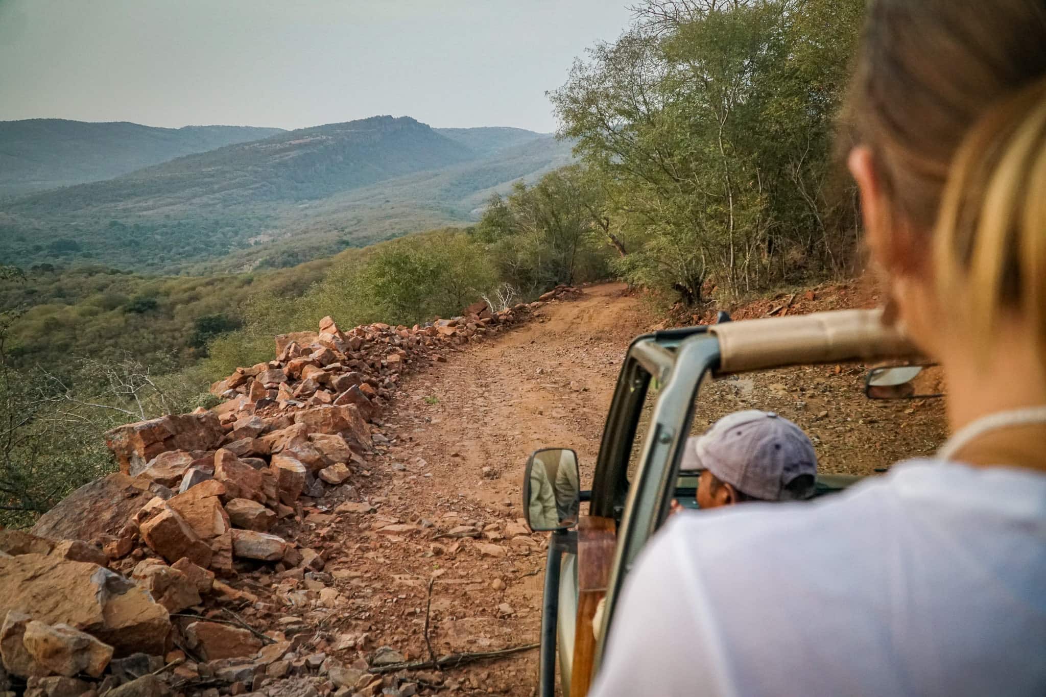 India Things to do - Ranthambore National Park | Fenceless Travel