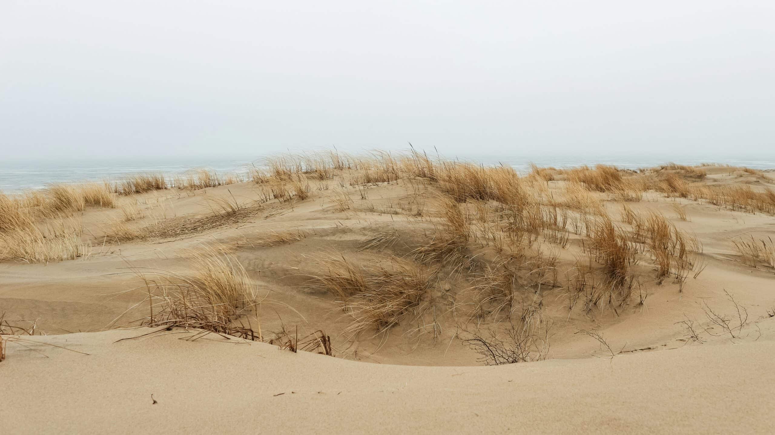 Lithuania Travel Guide - Curonian Spit | Fenceless Travel