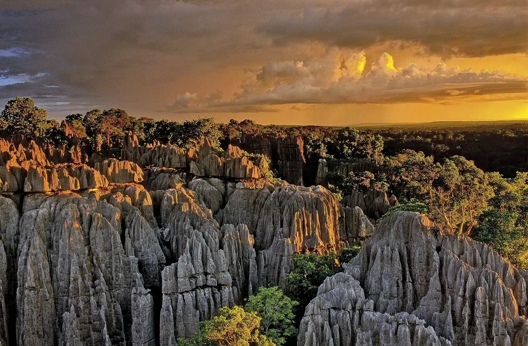 Madagascar Best Things to do - Tsingy de Bemaraha National Park ...